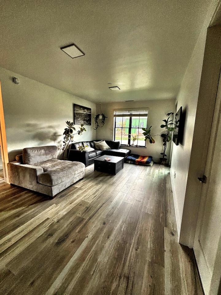 Spacious, Bright 1 Bedroom/1 Bathroom In Basalt - Snowmass, CO