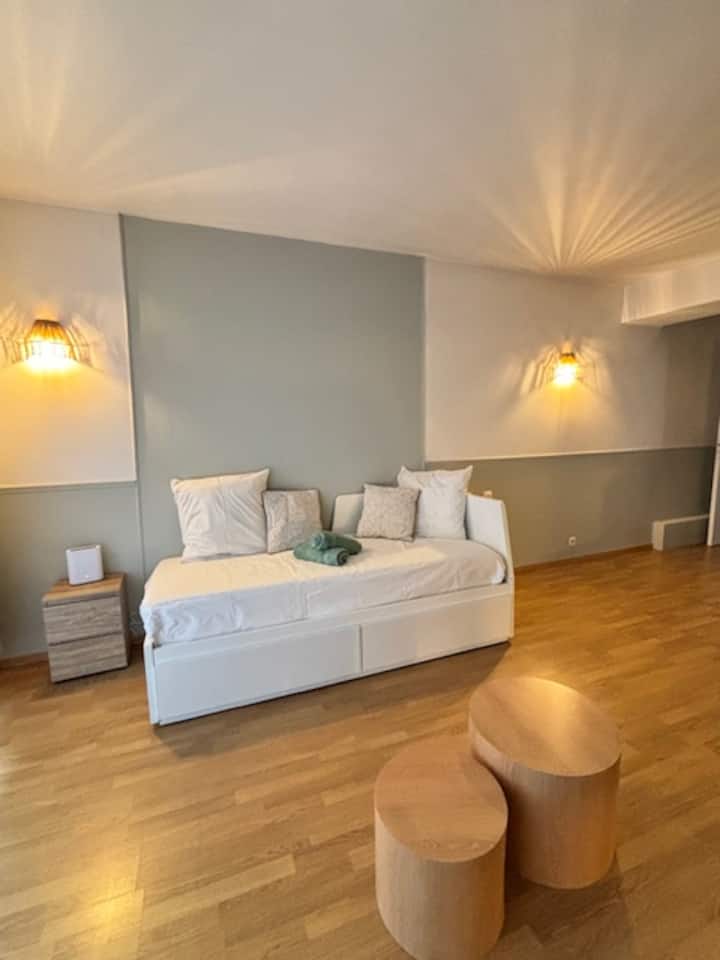 Havre De Détente Au Coeur De Pau - Idéal Couple - Pau