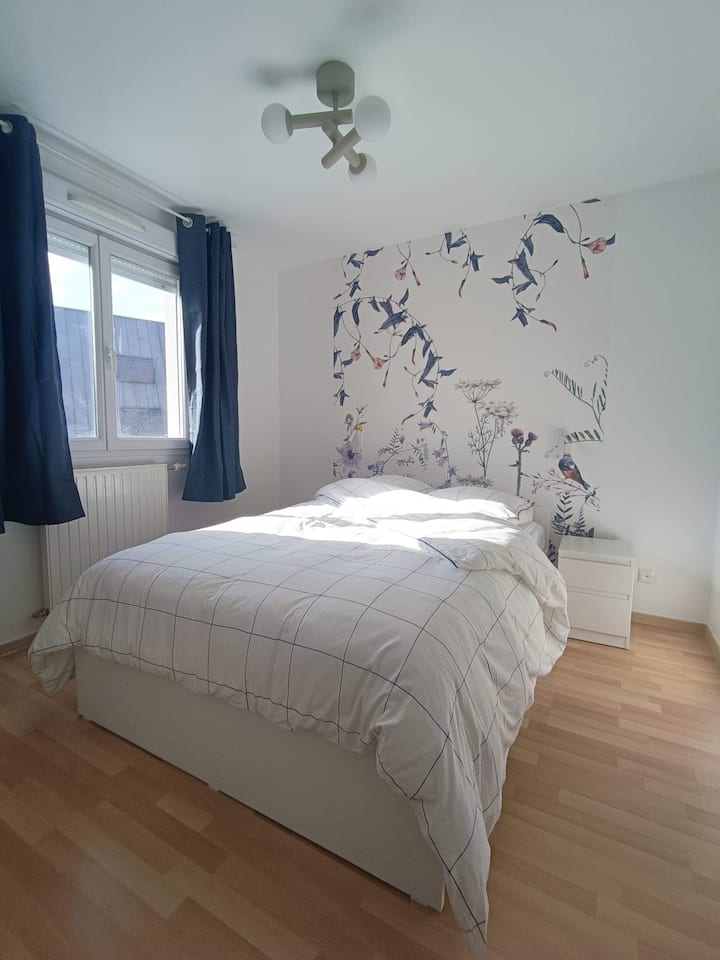 Hypercentre+gare 4min+garage+geneva 15min+jardin - Annemasse