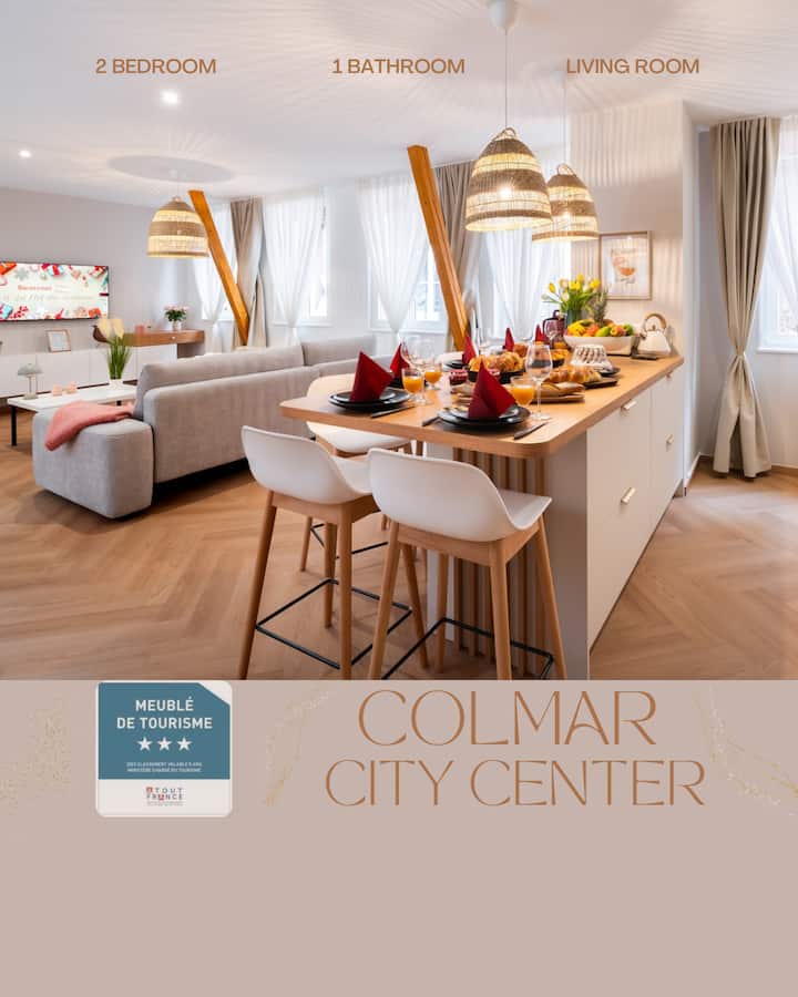 Appartement Classé Meublé De Tourisme Hypercentre - Colmar