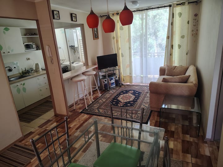 Escapada Perfecta: Bosque Y Mar. - El Tabo