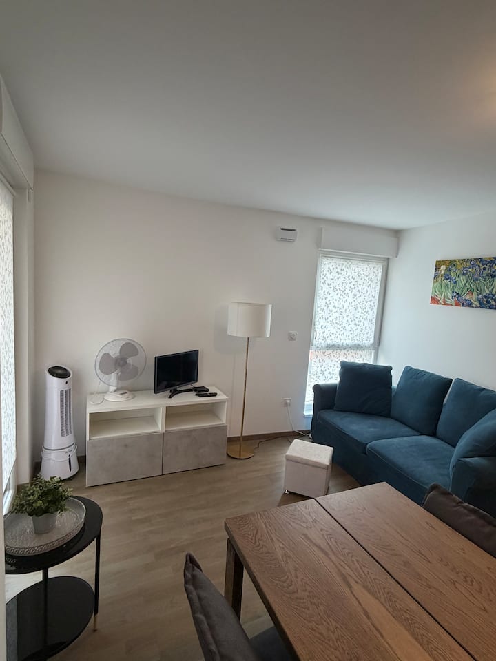 Appartement Neuf Centre Ville Colmar - Ammerschwihr