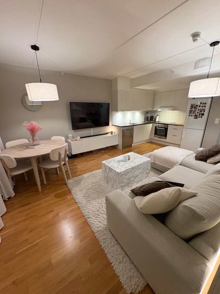 Lys Og Moderne 2-roms - Oslo