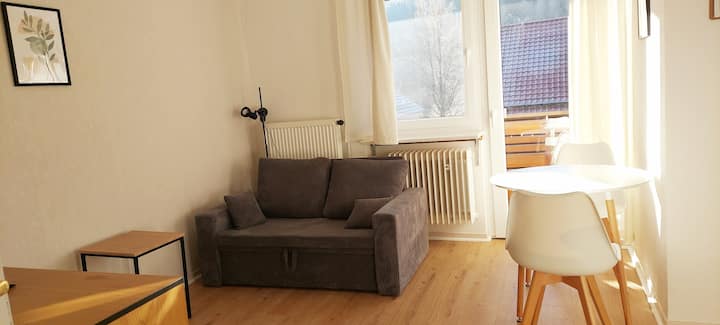 Gemütliche Wohnung In Wildemann - Wildemann