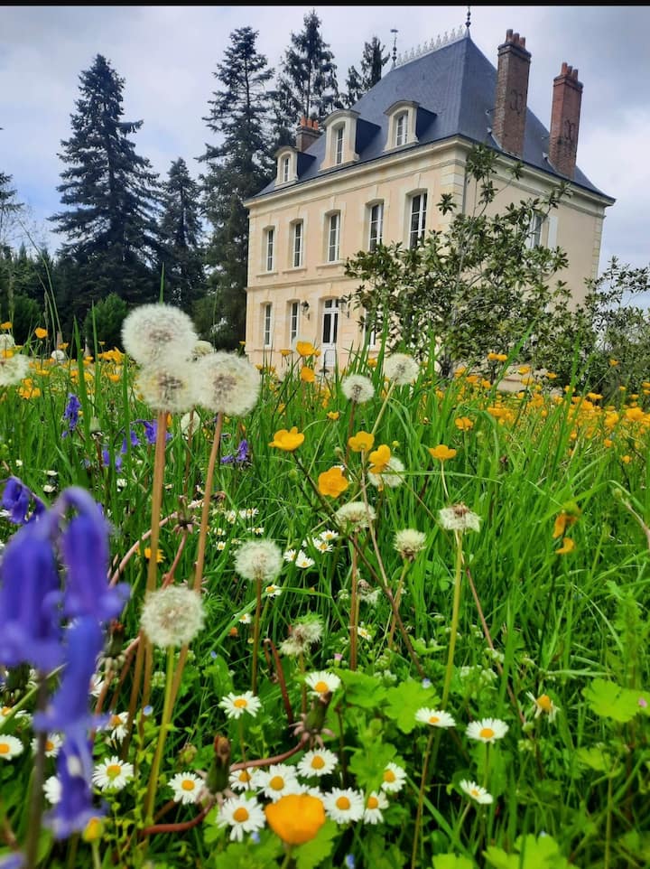 Château La Cardiniére - Sarthe