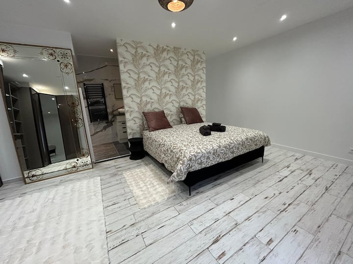 Magnifique Suite Spacieuse Avec Terrasse - Joué-lès-Tours