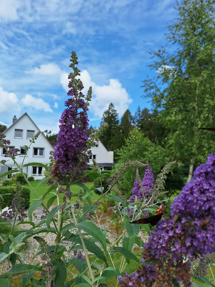 Erholen Im Wald - Schleswig-Holstein