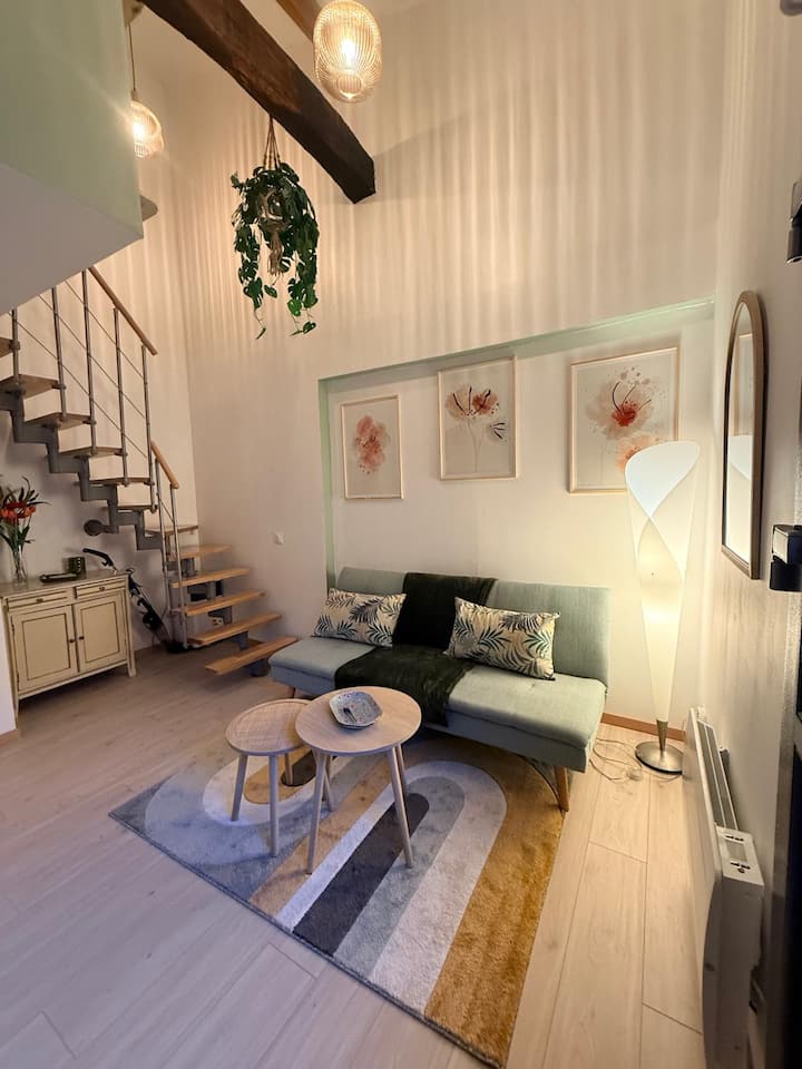 Le Cocon De Revel - Blan