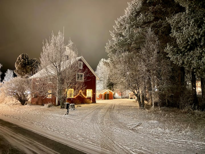 Södra Lapplands Mysiga Familj Och Djurvänligavilla - Åsele
