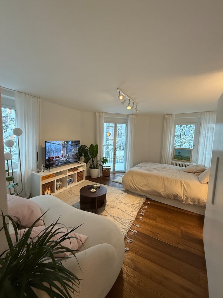 Renovated Studio Apartment In Zurich City Center - Zurich