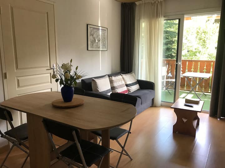 Appartement Dans Une Résidence Calme - Ax-les-Thermes