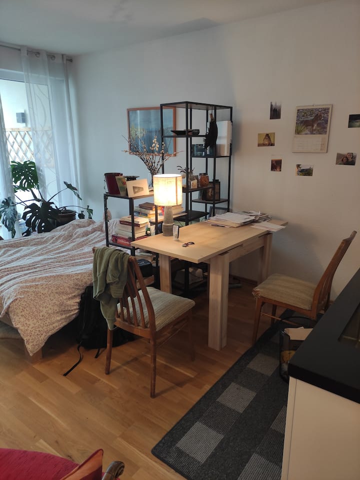 Cozy Place Looks For Subletting In January - Constance