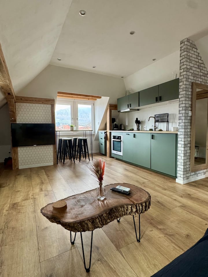 Appartement Cosy Chez Les Malo’s - Sélestat