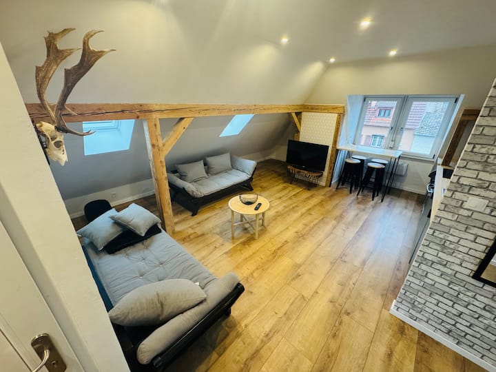 Appartement Cosy Chez Les Malo’s - Bas-Rhin