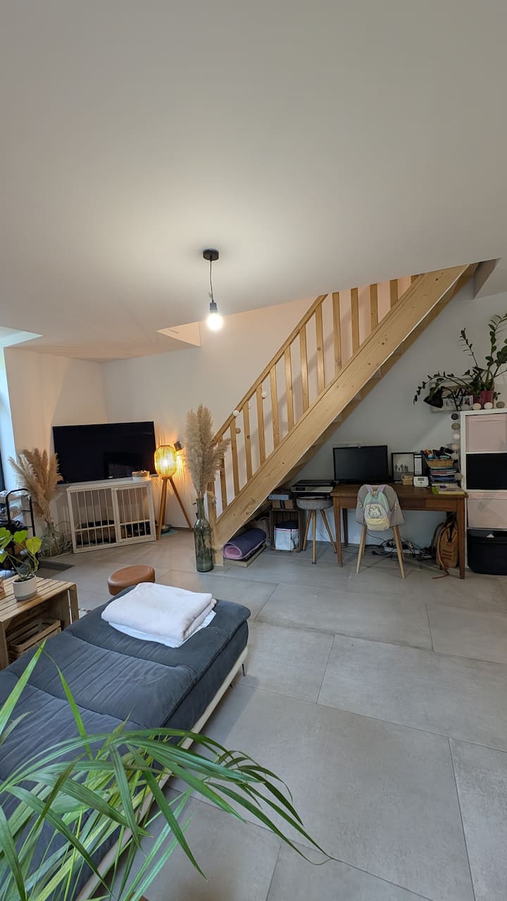 Joli Duplex Avec Jardin, Une Cour Et Un Parking - Caluire-et-Cuire