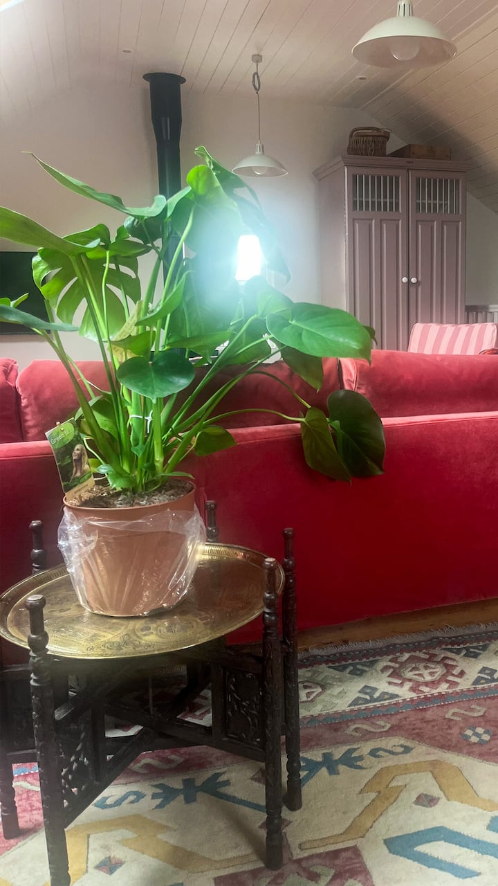 Eglinton Coach House - Dún Laoghaire