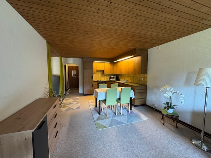 Mountain View Lodge - Giswil