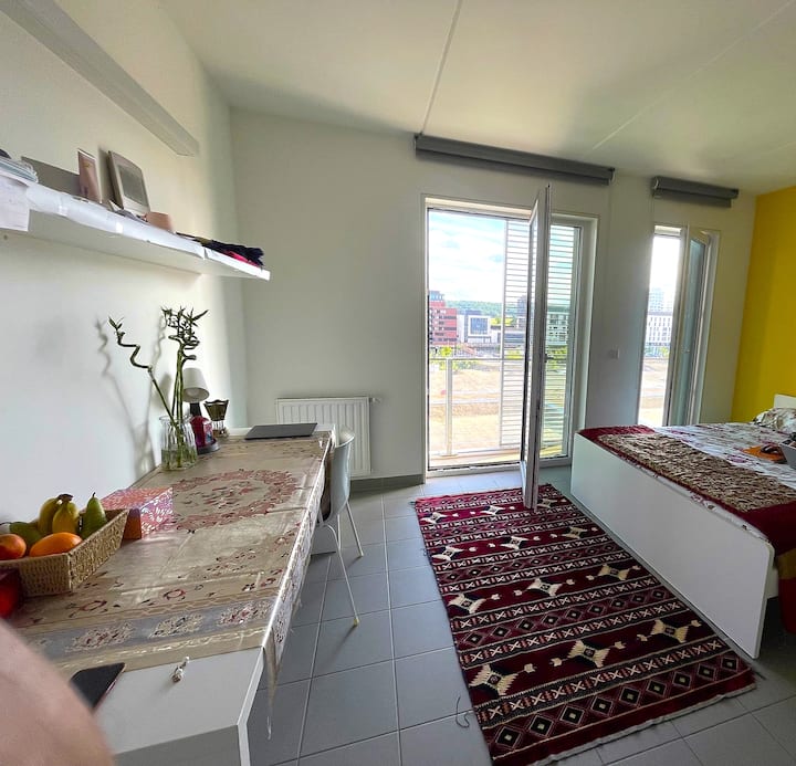 Modern Studio Belval - Esch-sur-Alzette