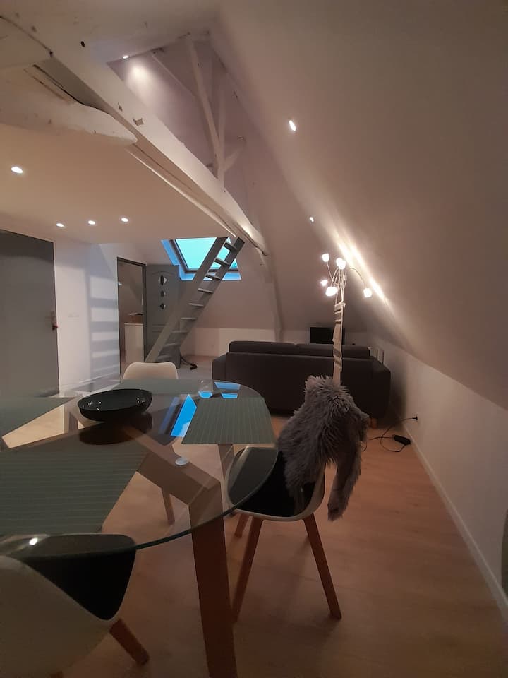 Appartement Rénové En Plein Cœur De Somain. - Somain