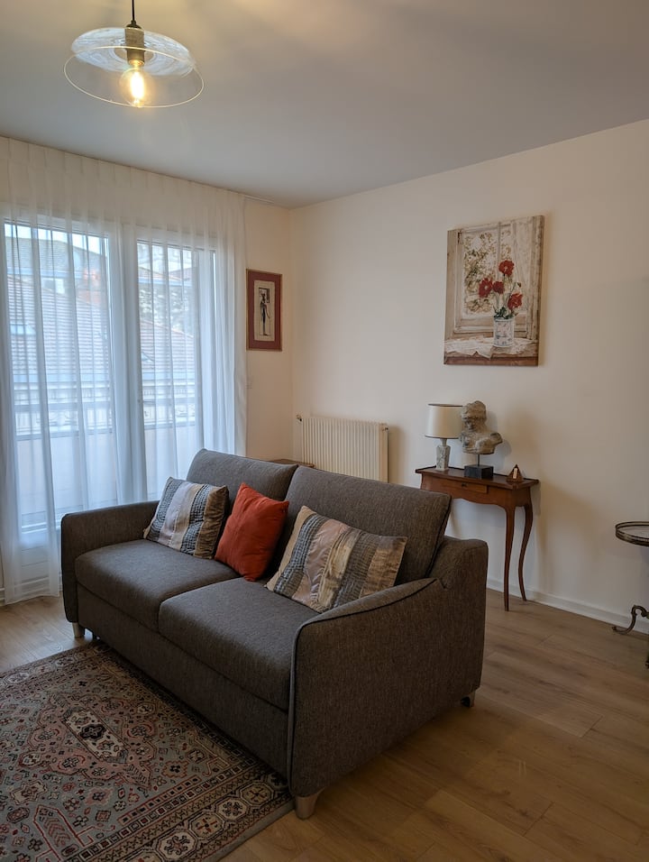 Appartement Cosy En Hyper Centre - Agen