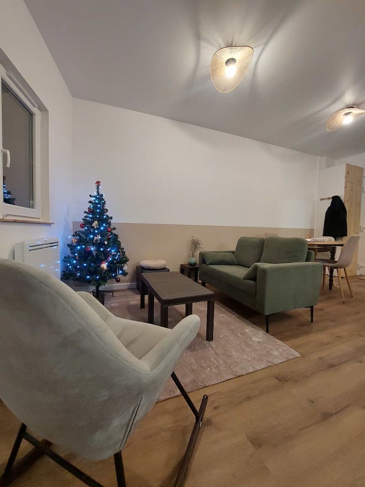 Charmant Appartement Rénové, Alsace - Barr