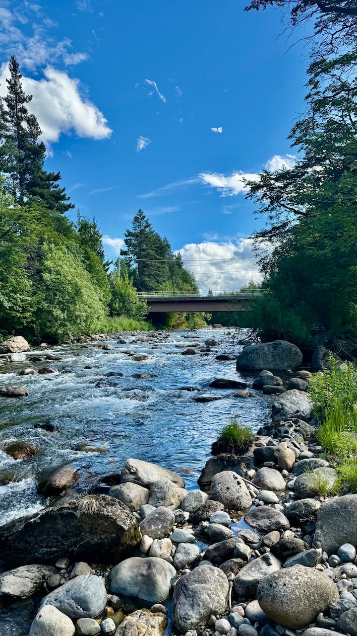 Cabaña Nueva A Orillas Del Río Claro, Coyhaique N2 - Coyhaique