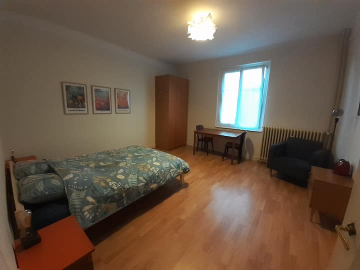 Chambre Spacieuse Proche Du Centre-ville - Strasbourg
