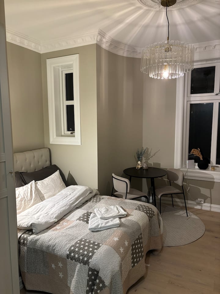 Newly Renovated Classic Studio By Solli Plass - Oslo