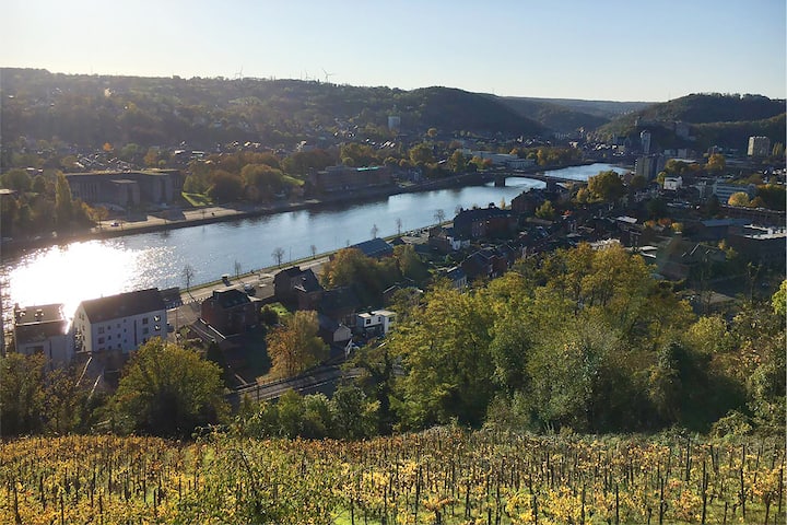 Gîte Du Bois Marie -Vignoble & Vue Spectaculaire - Bélgica