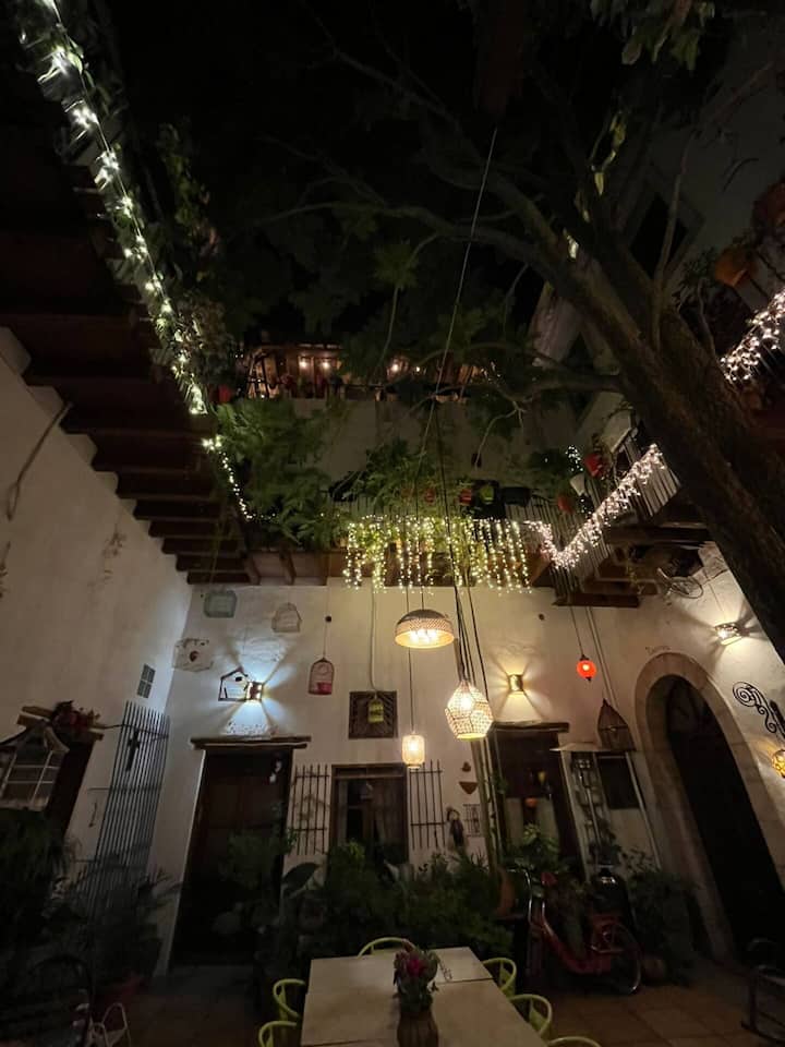 Cuatro Habitaciones En B&b - Rooftop Y Desayuno - Chihuahua