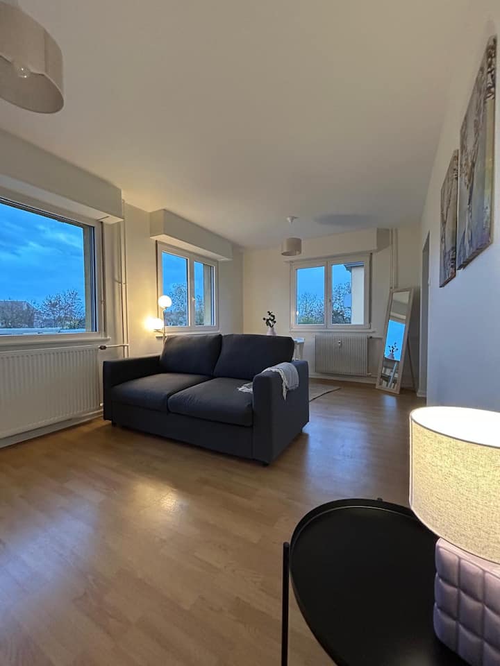 Charmant F1 De 32 Mètres Carrés à Hoenheim (67800) - Hœnheim