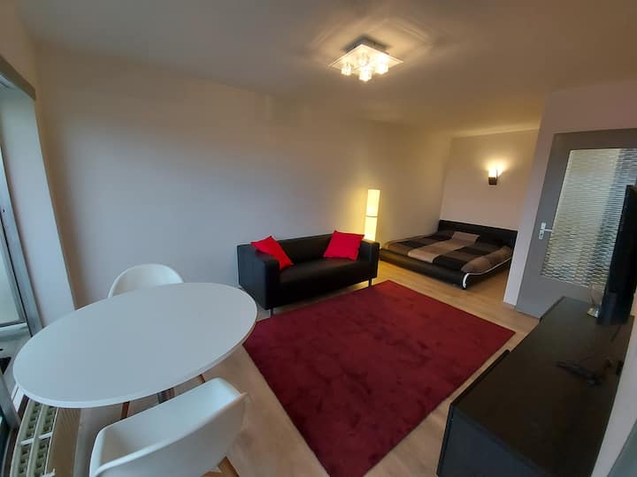 Spacious Studio With Balcony In Center Jette - Jette