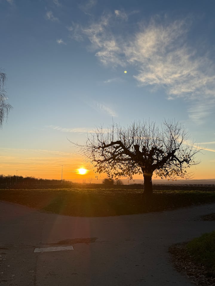 Tiny House Im Schwarzwald-natur, Ruhe & Erholung 2 - Black Forest