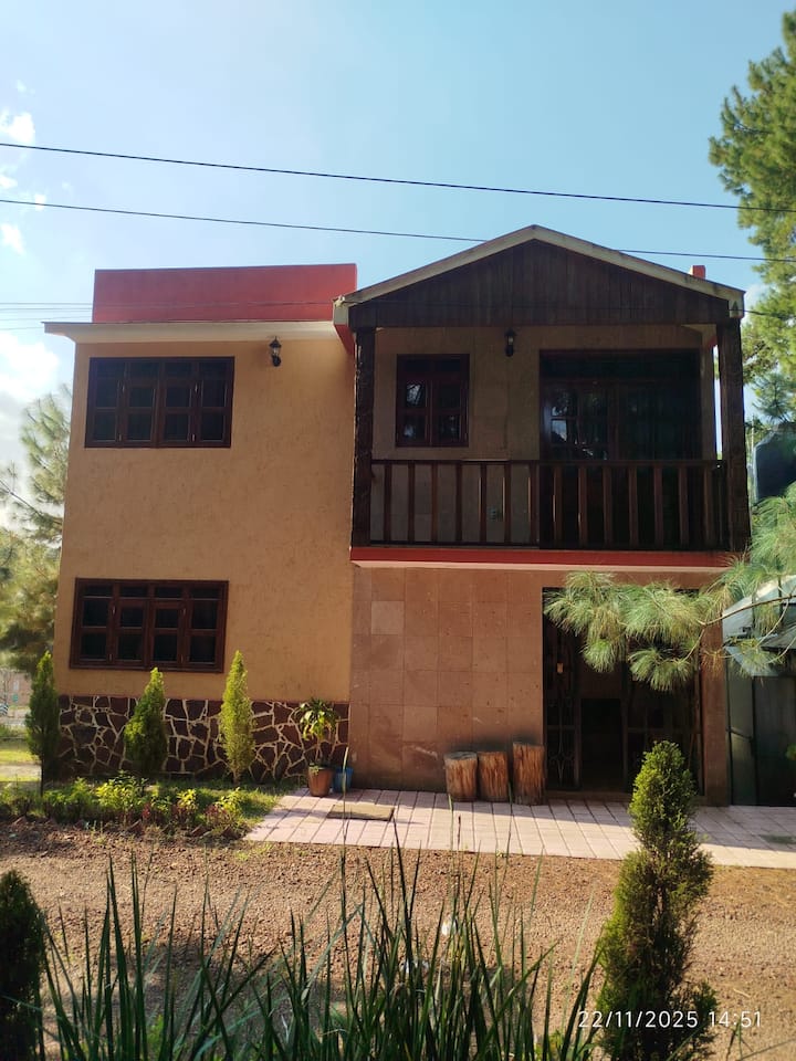 Cabin “The Owl’s Abode”, Pátzcuaro. - Patzcuaro