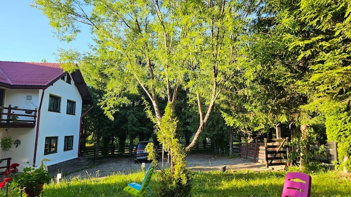 D'onofrio Mountain View - Transylvania