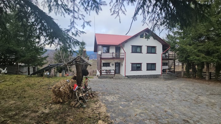 D'onofrio Mountain View - Bran