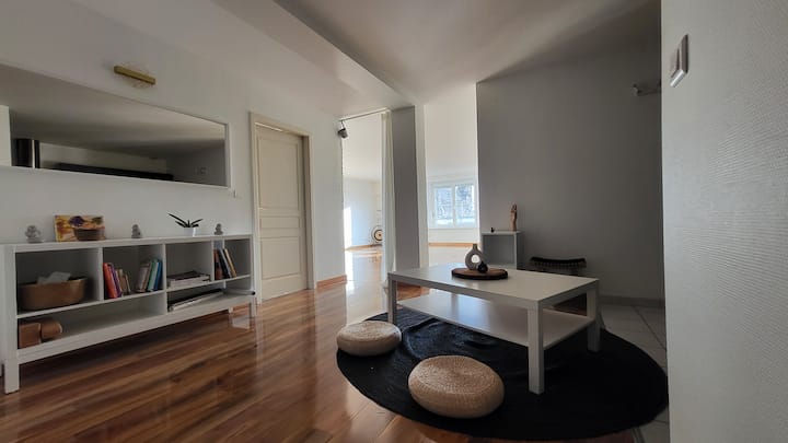 Lumineux Loft Urbain Centre Mulhouse- Vue Iconique - Rixheim