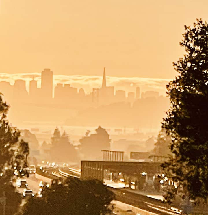 Rockridge Walk Score 98 - Oakland - Berkeley, CA