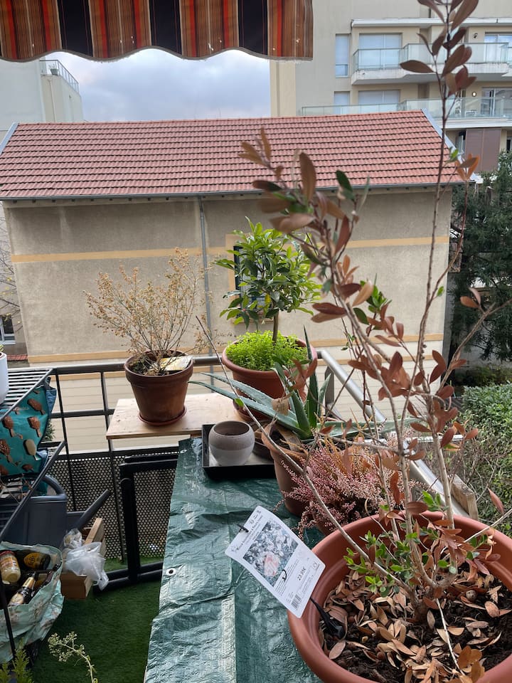 Appartement Cusset / Léon Blum - Bron