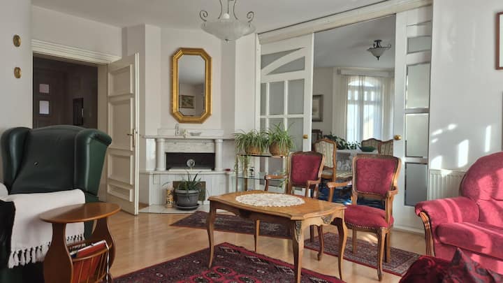 Big & Bright City Center Apartment  Free Parking - Užice