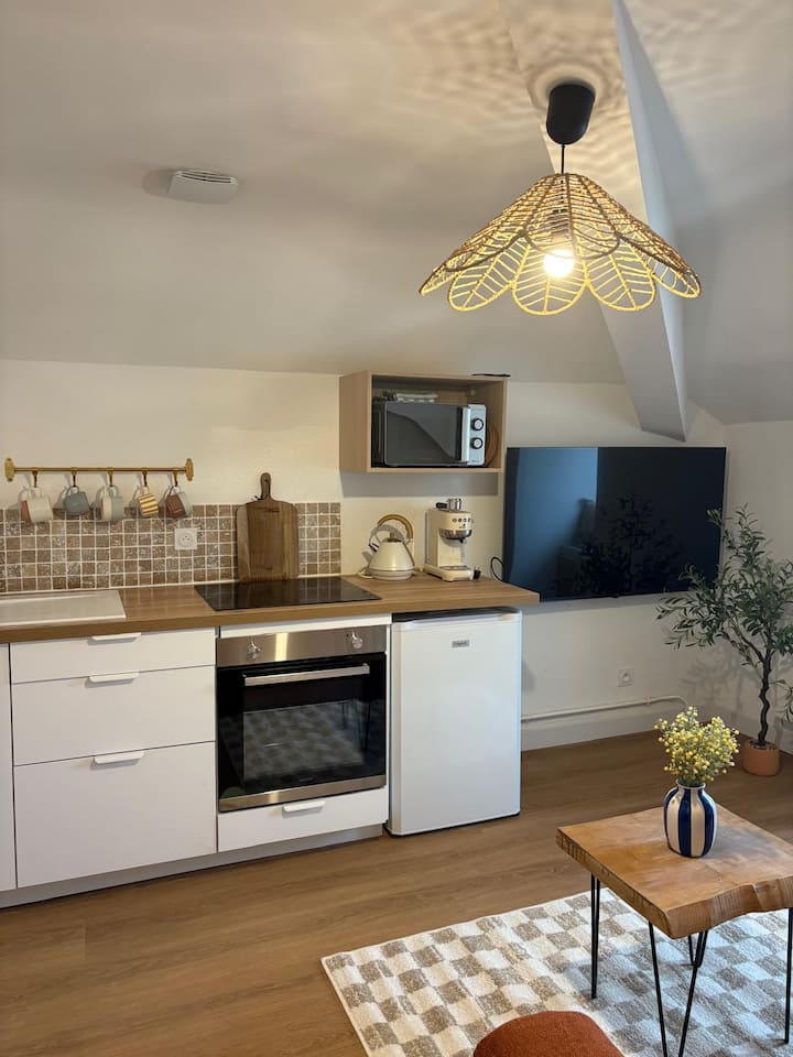 Charmant Appartement - Le Dopamine - La Roche-sur-Yon