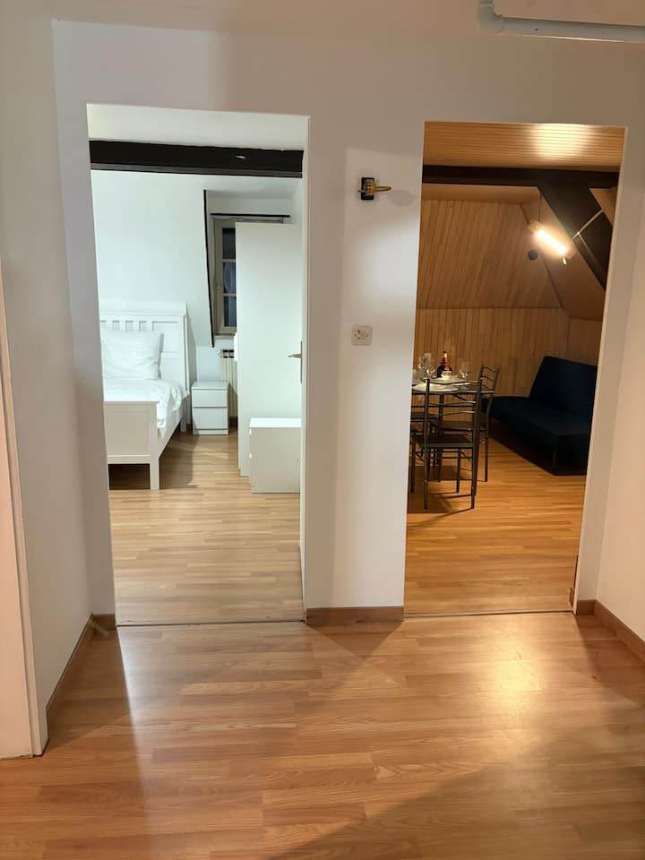 Maison De Maître Neuf 2 à 6 Personnes - Illkirch-Graffenstaden