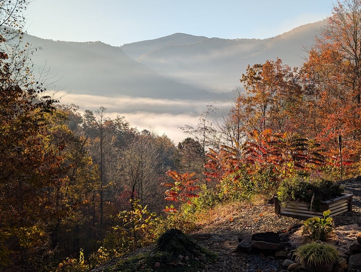 Black Bear Cabin In The Clouds - Sylva, NC