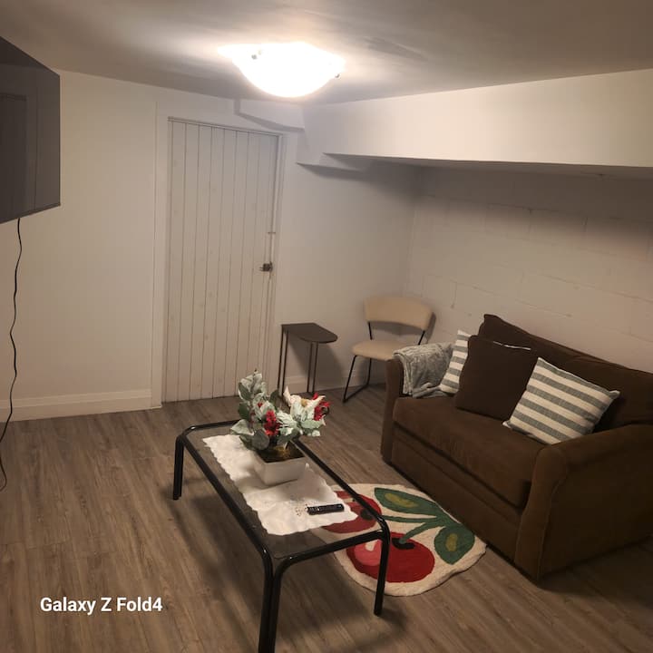 Private Cozy Downtown Bsmt Suite • Walk To Uofg - Guelph