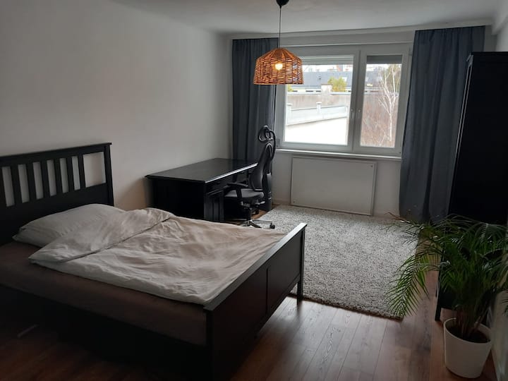 Cozy Viennese Room - Vienna