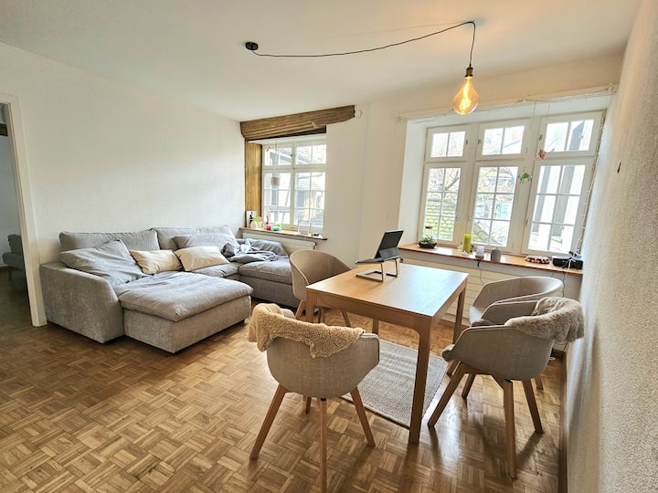 Cozy Apartment At The Historical Centre Of Basel - Basel