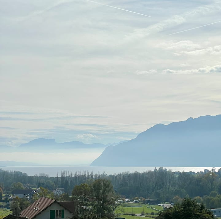 Lumineux Appartement - Rumilly