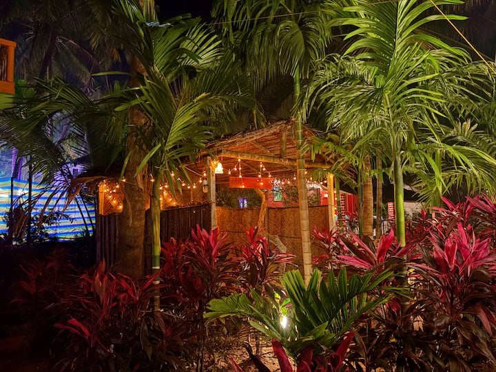 Areca Nest (The Cosmic Kuteer) - Gokarna