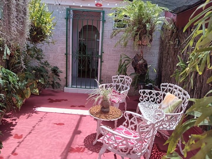Paradise In Cuba - La Habana