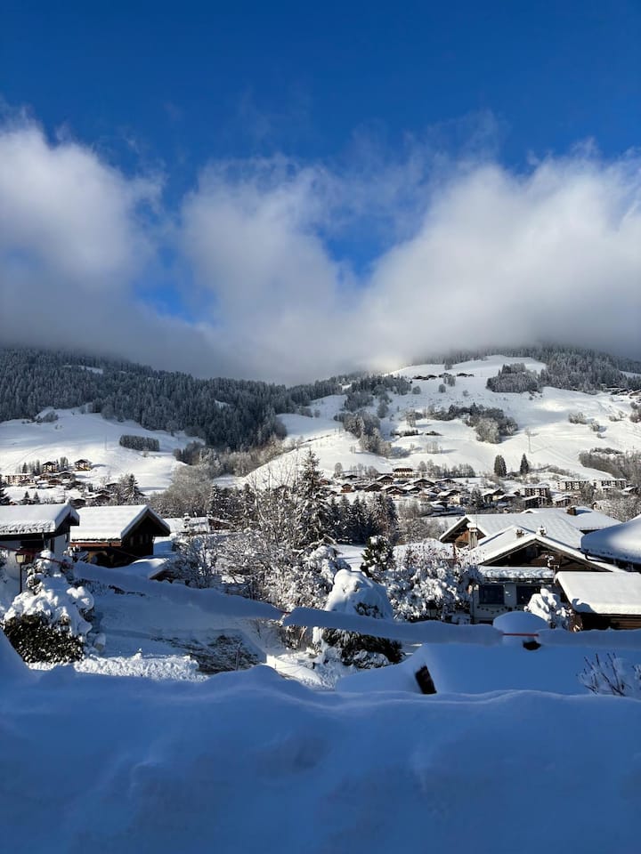 Paradis à St-gervais Les Bains - Passy